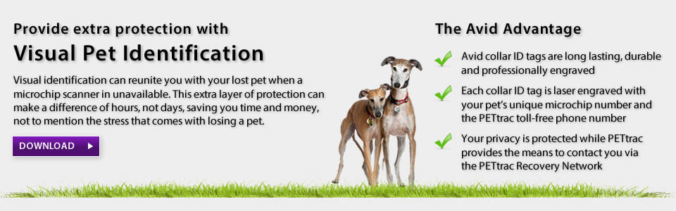 Visual Pet Identification | Avid Identification Systems